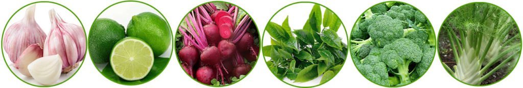 10 Best Detox Foods You Should Start Eating for a Better Life